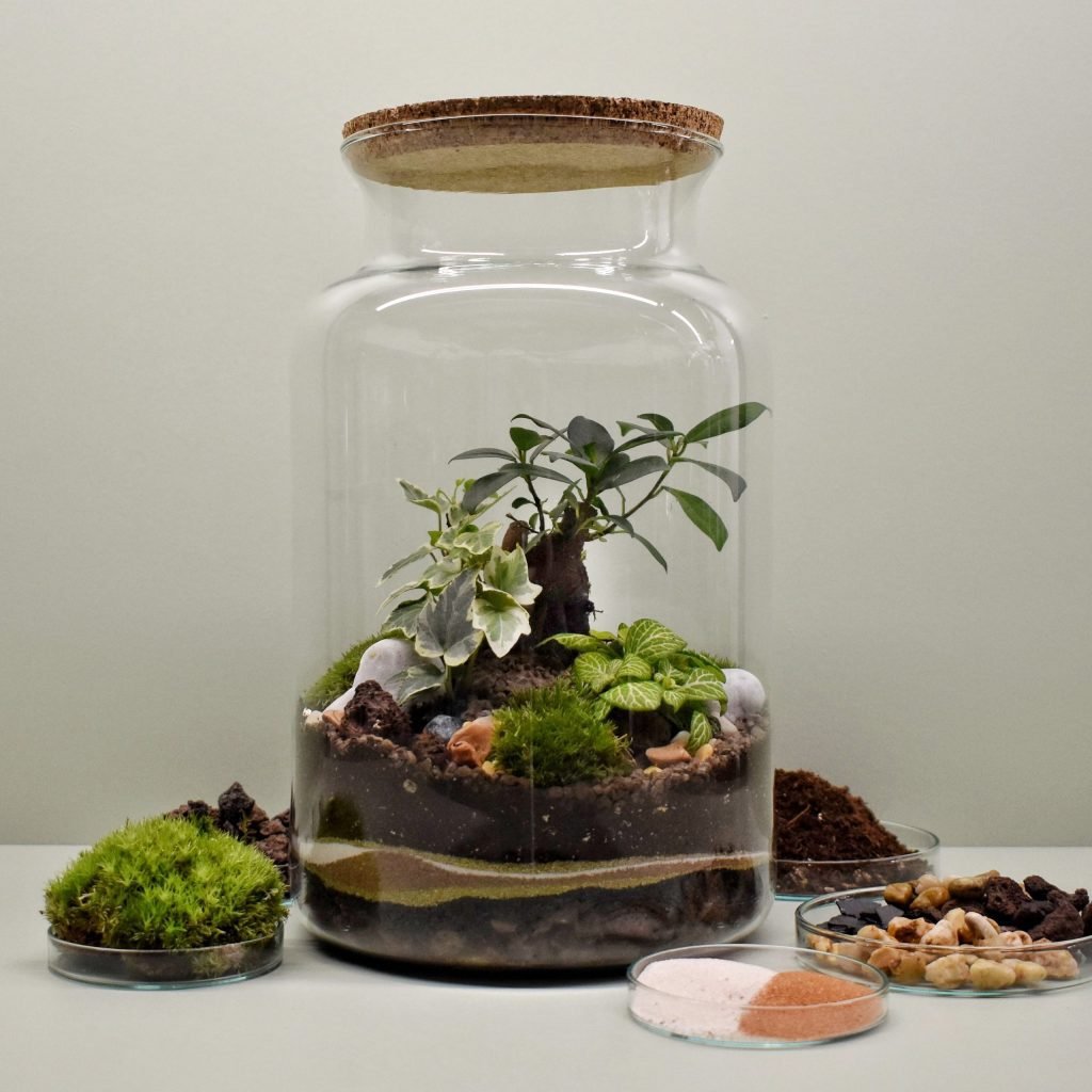 5 Ide Inspiratif Buat Terarium Anda Sendiri - Mulia Arsitek