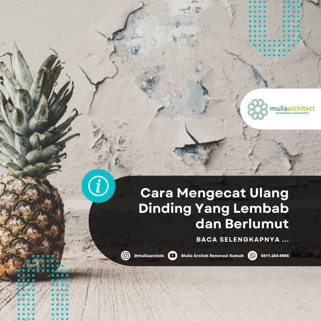 Cara Mengecat Ulang Dinding Yang Lembab Dan Berlumut Jasa Arsitek